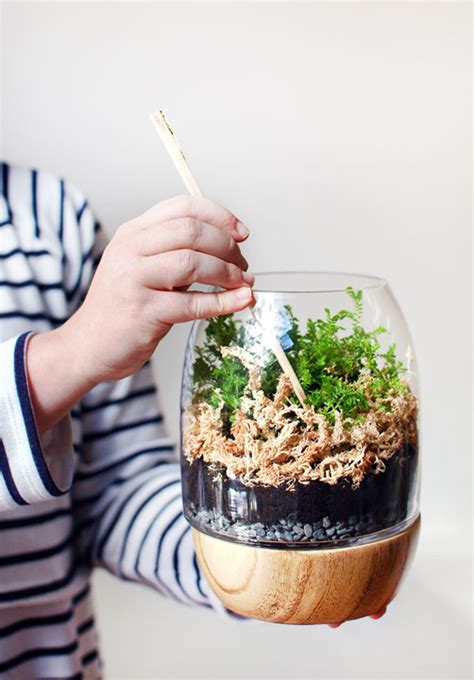 이끼 키우기 좋은 이끼 테라리움 만들기 네이버 블로그