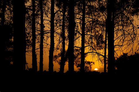 Lanskap Alam Pegunungan Foto Gratis Di Pixabay Pixabay