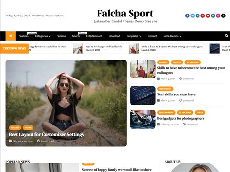 Falcha News Gutenberg Ready Wordpress Theme Candid Themes