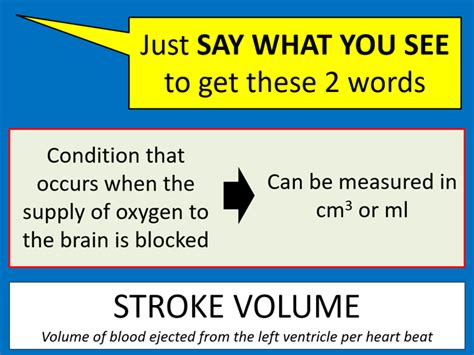 Cardiac Output Stroke Volume And Heart Rate Cie International A Level Pe Teaching Resources
