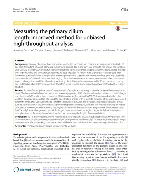 Pdf Measuring The Primary Cilium Length Improved Method For Unbiased
