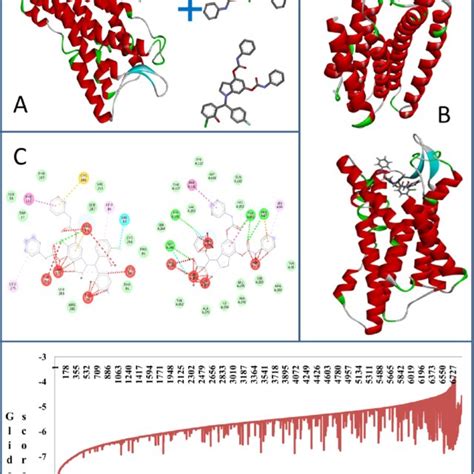 Theoretical Model Of The GPR17 Receptor Template Protein Data Bank Download Scientific Diagram