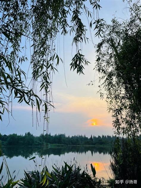 不做决定就是最好的决定 知乎