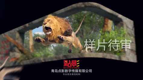 青岛点影数字传媒有限公司