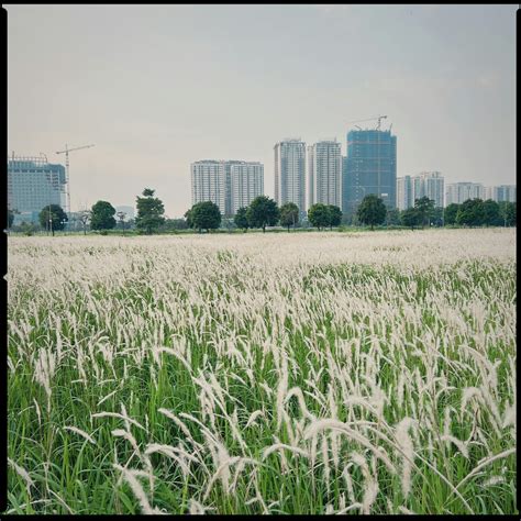 Clash Background Photos Download The Best Free Clash Background Stock