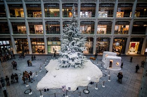 Kitte Building Christmas Tree Christmas Christmas Tree Christmas 2014