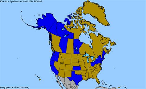 2013 Bonap North American Plant Atlas Taxonmaps