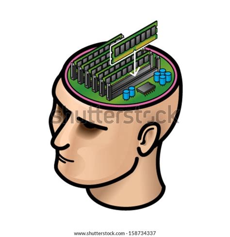 Increase Memory Power Over 45 Royalty Free Licensable Stock Vectors Vector Art Shutterstock