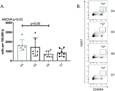 Splenic Marginal Zone B Lymphocytes Decreased In Post Transplant