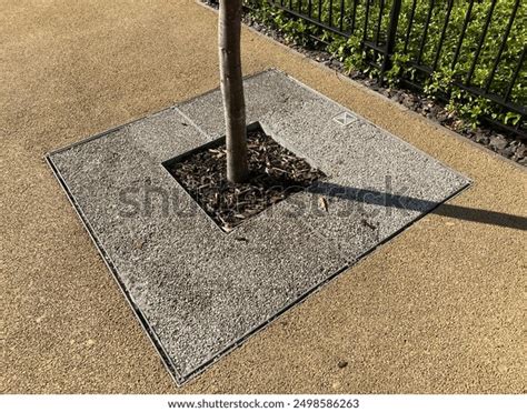 116 Resultados De Imágenes Fotos De Stock E Ilustraciones Libres De Regalías Para Porous Resin