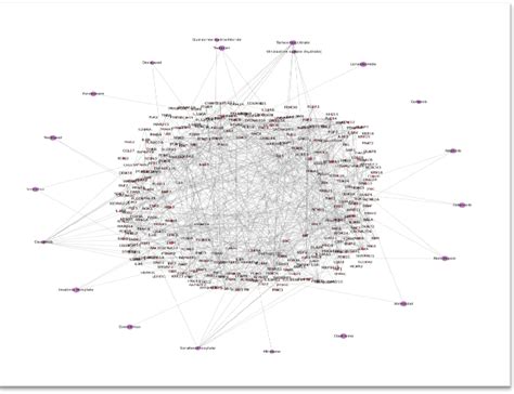 Interpreting Mechanism Of Synergism Of Drug Combinations Using