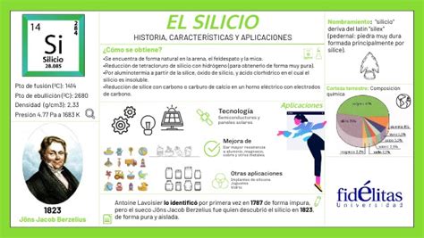 Infografía El Silicio