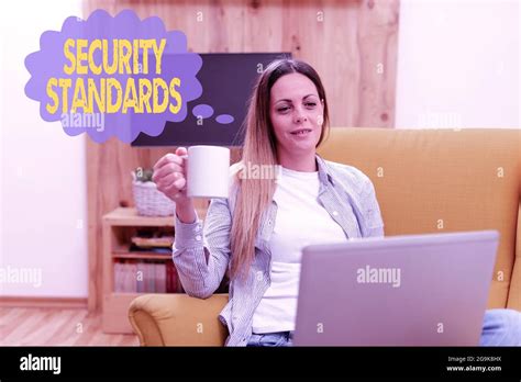 Text Caption Presenting Security Standards Concept Meaning The Scope Of Security Functions And