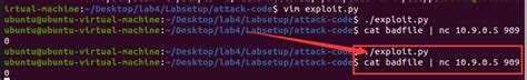 seed lab buffer overflow attack lab server version seedlab缓冲区溢出实验 csdn博客