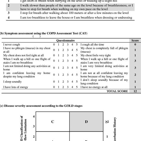Copd Assessment Using Symptoms Breathlessness Spirometric Download Scientific Diagram