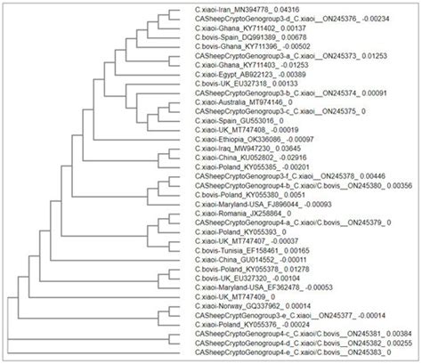 Pathogens Special Issue Molecular Epidemiology Of Zoonotic Pathogens