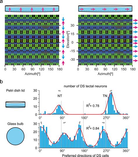 Vertical Motion Stimuli Are Disrupted Due To Tir A 180° Panorama Of Download Scientific