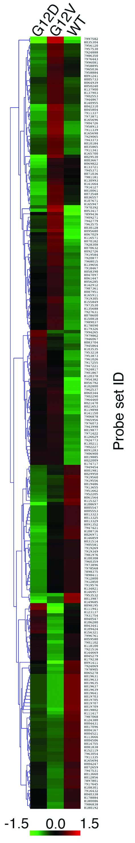 microarray analysis performed with tigr mev program hierarchical download scientific diagram