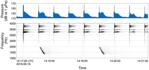 Timeseries Above And Spectrogram Below Displaying A Sequence Of