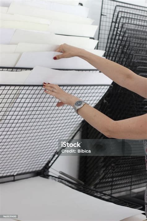 직장에서 여자 사서 2018년에 대한 스톡 사진 및 기타 이미지 2018년 40 44세 교육 Istock