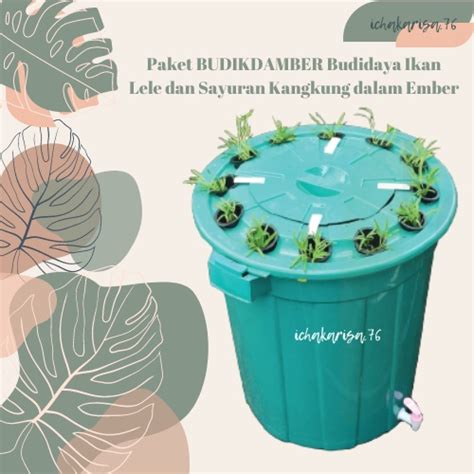 Jual PROMO Paket BUDIKDAMBER Budidaya Ikan Lele Dan Sayuran Kangkung