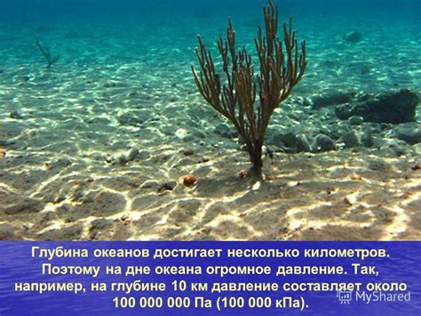Презентация на тему Давление на дне морей и океанов Работу выполнила