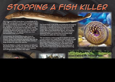 Great Lakes Fishery Commission Pulse On Science Project Spotlight