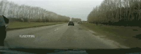 37 Absolutely Ridiculous Close Call S