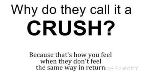 遇到了一个crush，crush究竟是什么意思 知乎