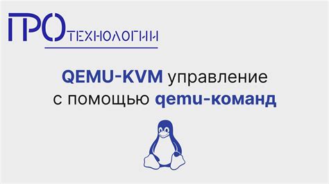 Qumu Logo