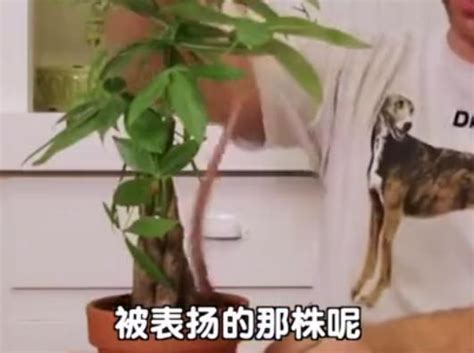 語言暴力有多可怕，領導最惡毒的3句話，比刀子還傷人！ 每日頭條