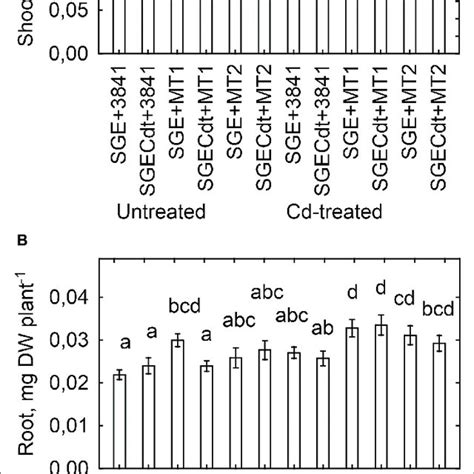 Nodulated Main And Lateral Roots Of Wild Type Sge Pea Pisum Sativum