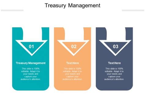 Treasury Management Powerpoint Templates Ppt Slides Images Graphics And Themes