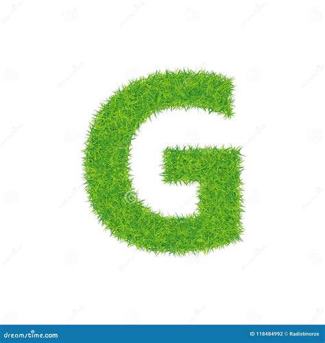 Green Grass Letter G On White Background Stock Illustration