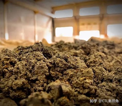 从老窖泥到黄金微生物共同发现刘伶醉老窖池的秘密所在 知乎