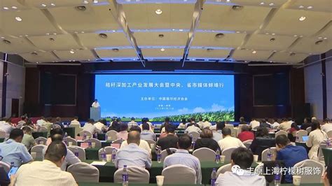 蚌埠：“秸”尽所能 延展六大产业集群企业动态丰原集团