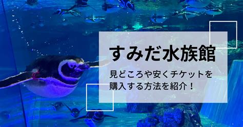 都内でおすすめデートスポットのすみだ水族館の見どころや安くチケットを購入する方法を紹介 ぽんずのおでかけ