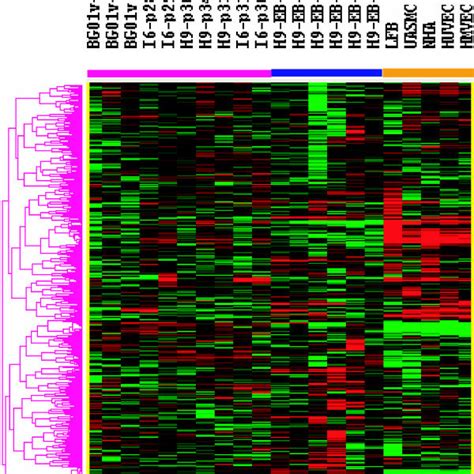 unsupervised hierarchical clustering of genes the gene expression data