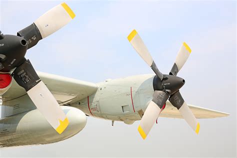 록히드 C 130 허큘리스 왕 타이 공군 기지 돈므앙에 로얄 하늘의 상세 프로 펠 러 C 130 수송기에 대한 스톡 사진 및 기타 이미지 C 130 수송기