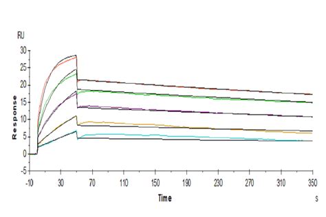 human prlr protein plr hm101 kactus
