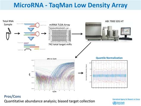 Ppt Transcriptomics Powerpoint Presentation Free Download Id1479188