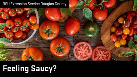 Feeling Saucy Workshop Covering Tomato Preservation Offered In Glide