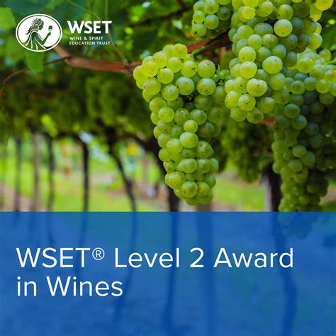Wset介紹 自然醒 Wineup