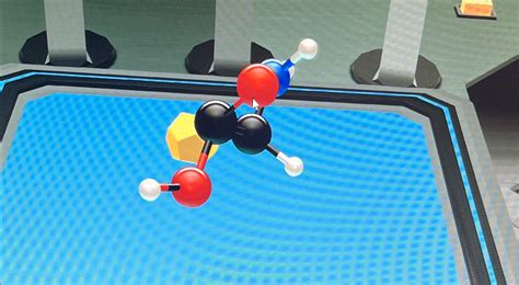 Solved Which Macromolecule Shown Here