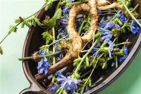 Your Guide To Inulin And Its Benefits Landys Chemist