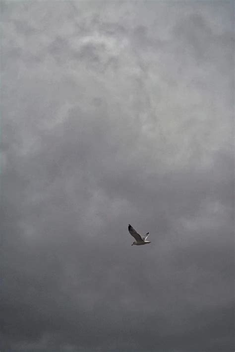 🌫️ Серое небо 🌫️ Картинки