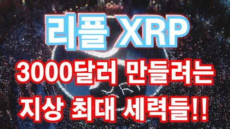 와~씨 리플 진짜 미쳤습니다 Youtube