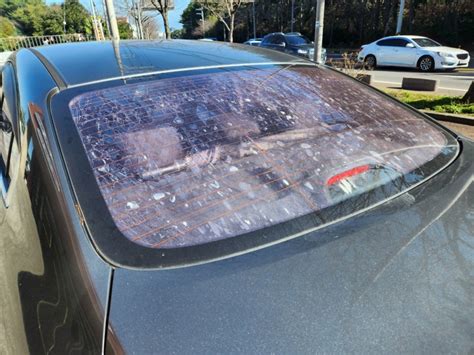 제주 한보자동차용품 2012년식 K3 썬팅재시공 뒷유리 기포 현상 네이버 블로그