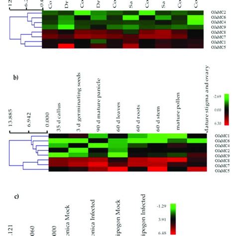 Details Of Haplotypes Single Nucleotide Polymorphism Snp And The