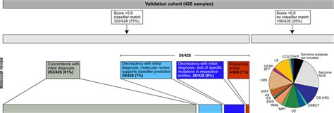 Validation Of The Sarcoma Classifier In Total 426 Independent Sarcoma